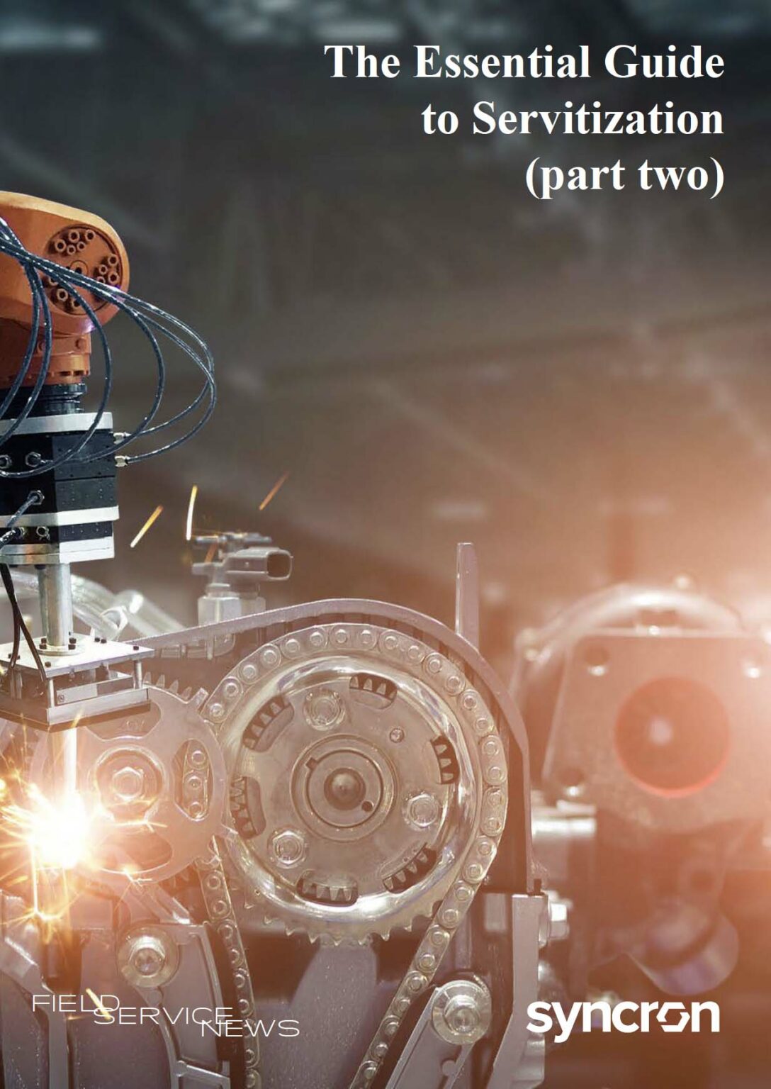 White Paper: The Essential Guide to Servitization (part two) – Field ...